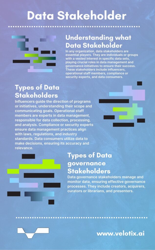 Data Stakeholder | Velotix